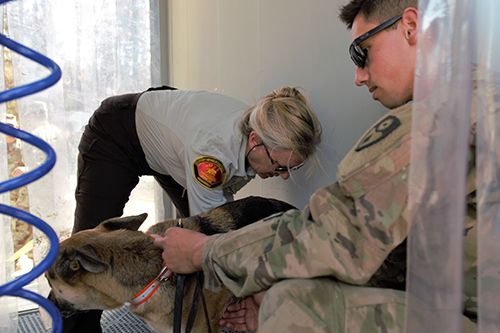 Dog tags and wags: Soldiers serve search and rescue teams near North ...