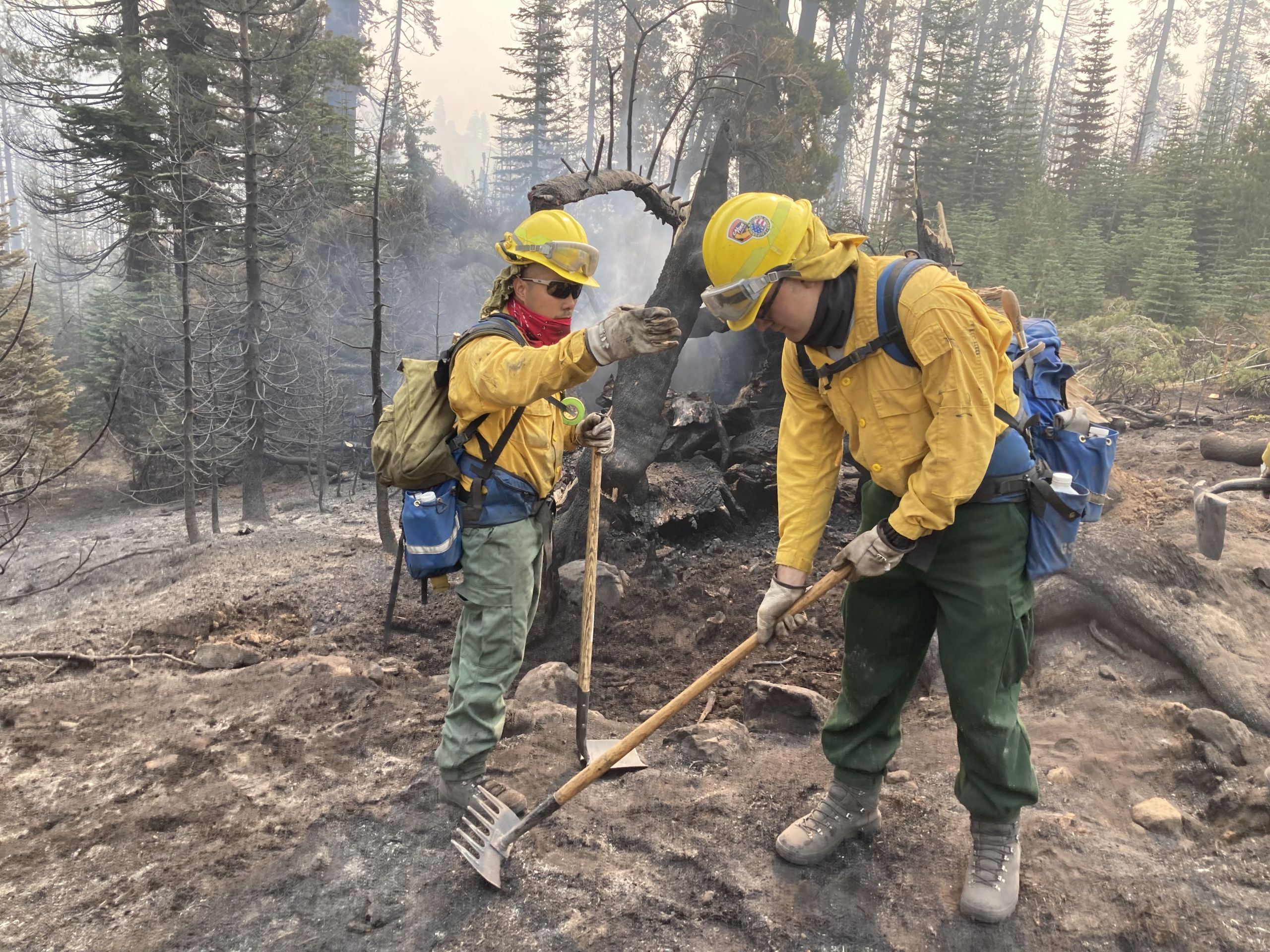 Rattle tales from the fire line
